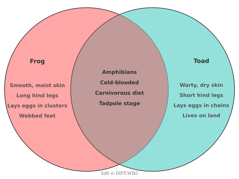 Differences between Frog and Toad - diff.wiki